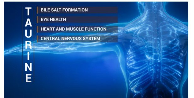 Can Taurine Supplementation Improve Health and Slow Aging? – Longevity Box