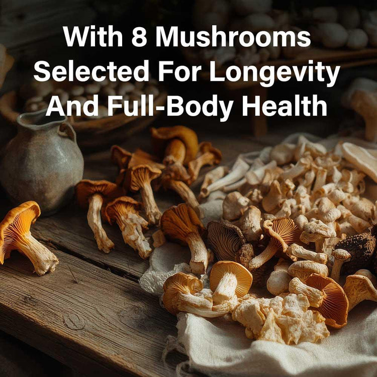 Ultimate 8 Mushroom Complex – Longevity Box